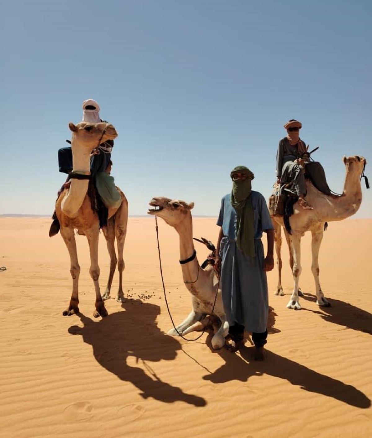Libya: Tajirhi Festival Rich in Cultural Diversity, Tourism Potential ...